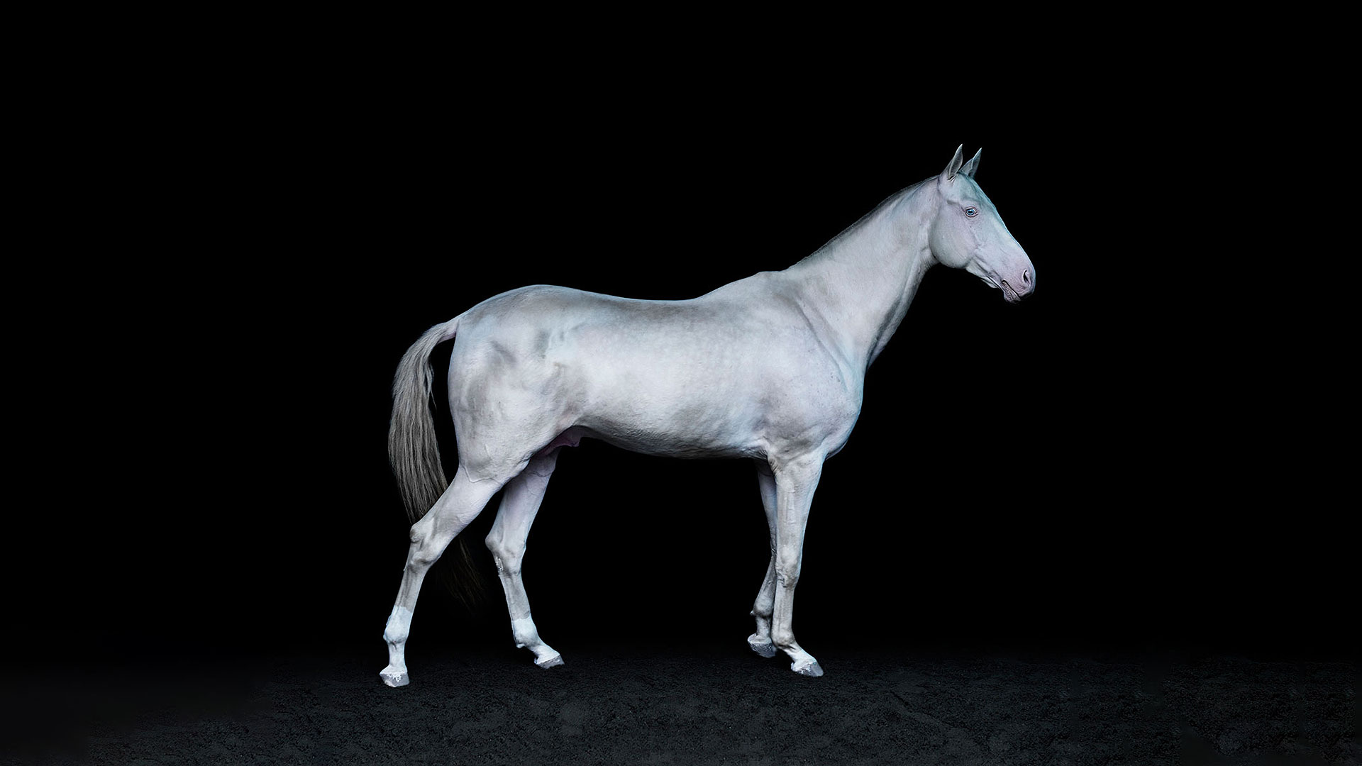 Photographer Jonathan Glynn-Smith